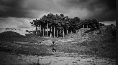 International Festival Signs of the Night - Bangkok